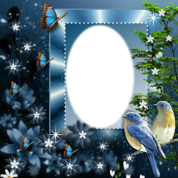 Cadre* Photo Frame Effect | Pixiz