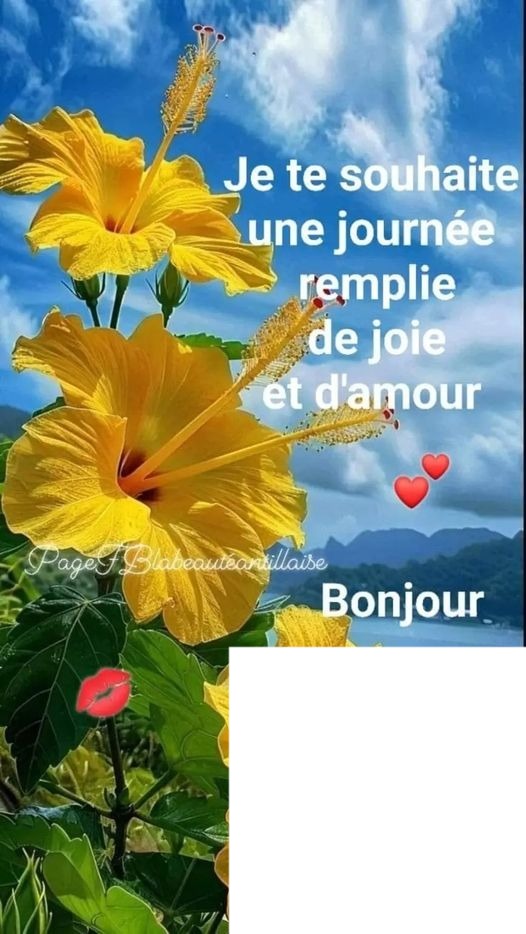 bonjour Design Template | Pixiz