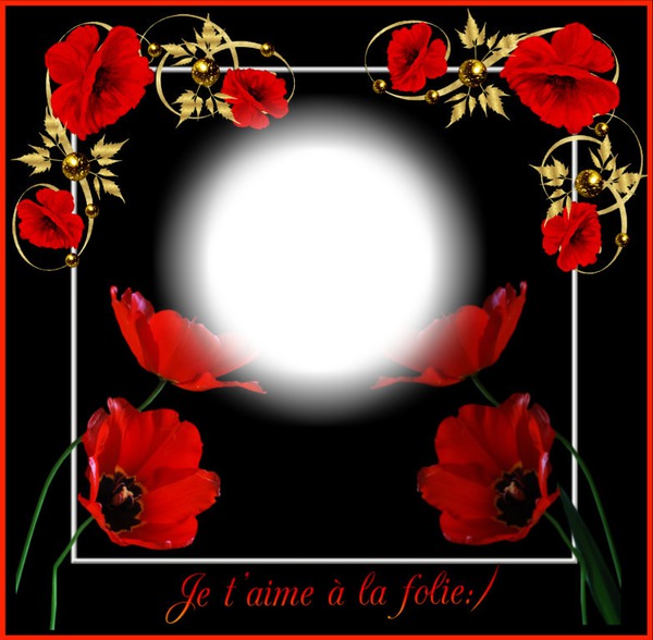 Ma créa :) Montaje fotografico | Pixiz