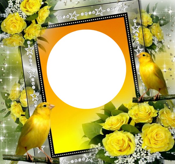 kenza Fotomontagem | Pixiz