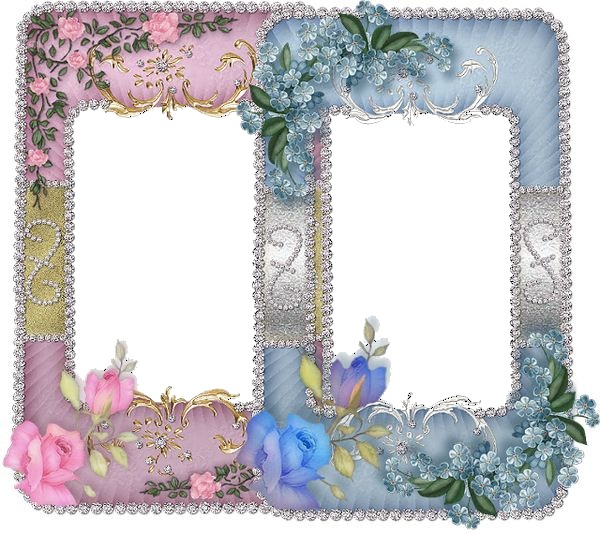 Flowers frame Montage photo | Pixiz