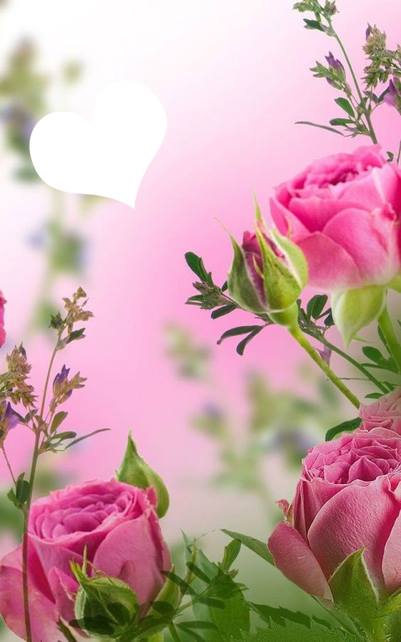 foto Montaje fotografico | Pixiz