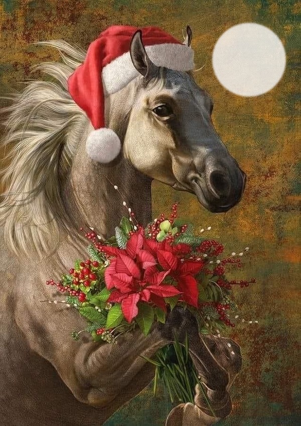 Labrousse Photo Frame Effect | Pixiz