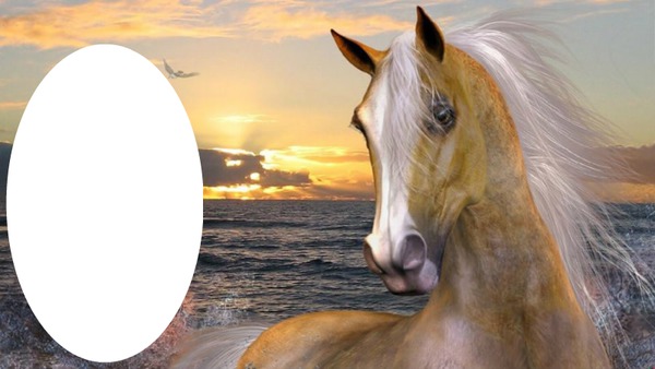 KJIUY Design Template | Pixiz