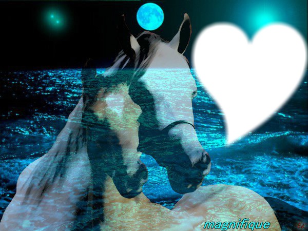 magnifique Montage photo | Pixiz