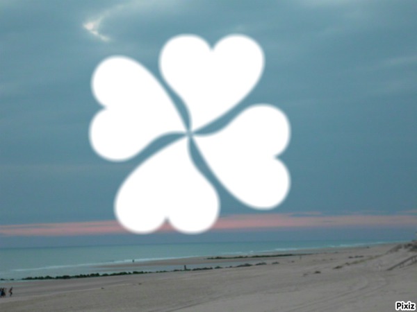 treffle Montage photo | Pixiz