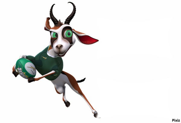 Springbok Design Template | Pixiz