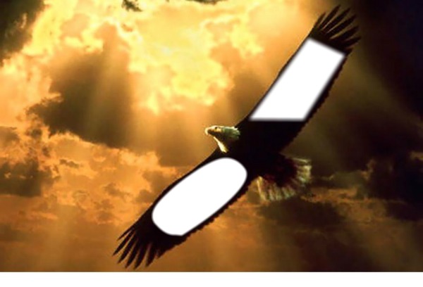 aguila Fotomontagem | Pixiz