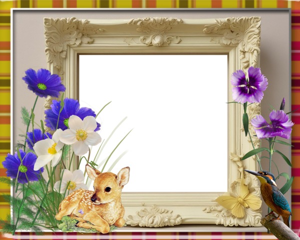 Rahmen Photo Frame Effect | Pixiz