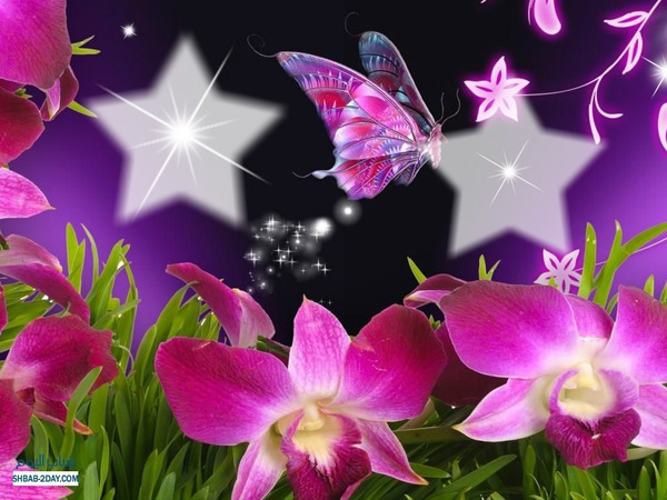 حنين الشوق Design Template | Pixiz