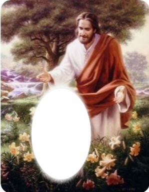 carlos Design Template | Pixiz