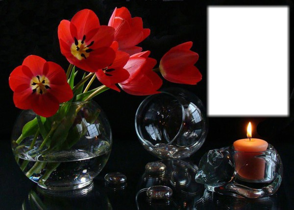 suncet Montage photo | Pixiz