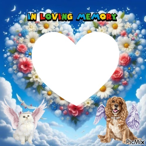 Memory Photo Frame Effect | Pixiz