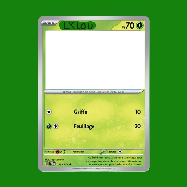 pokémon Design Template | Pixiz