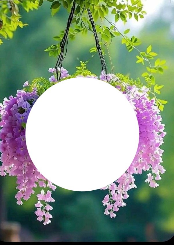 FOTO Fotomontaggio | Pixiz