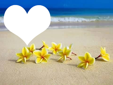 sami Montaje Fotografico | Pixiz