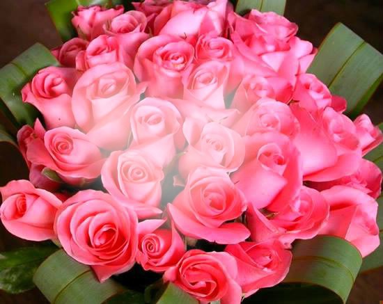 ROSE Design Template | Pixiz