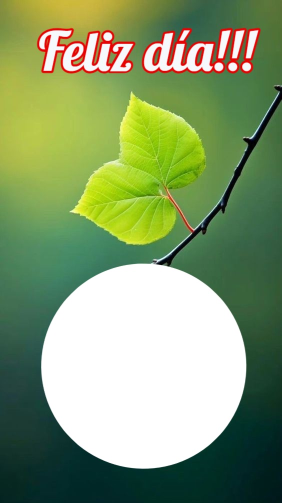 FOTO Montage photo | Pixiz