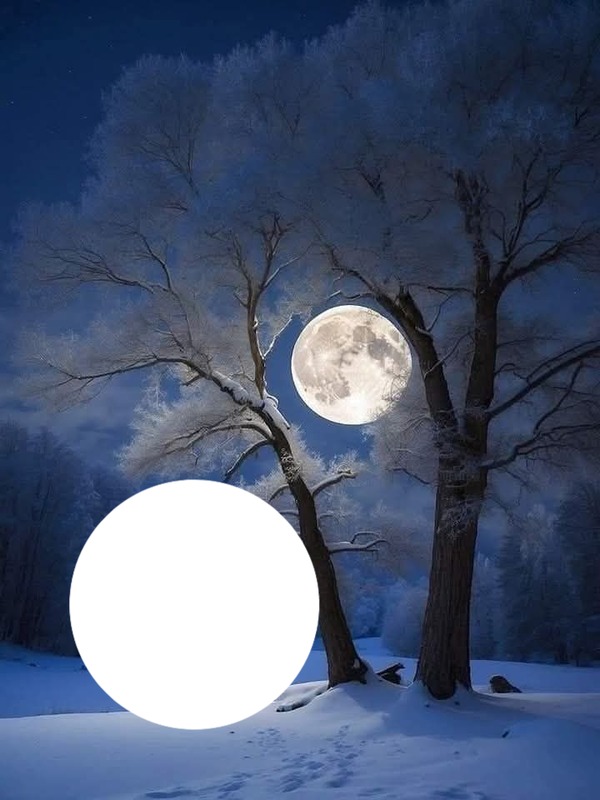 Laku Noc Photo Frame Effect | Pixiz