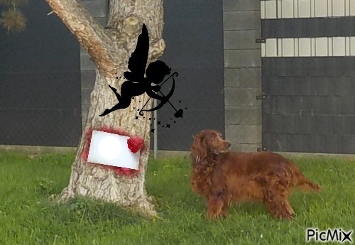 Setter Design Template | Pixiz