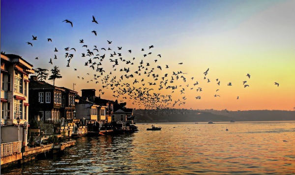 sevval Montaje Fotografico | Pixiz