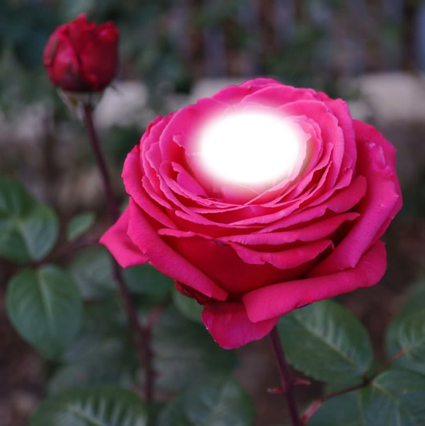 fgfg Design Template | Pixiz