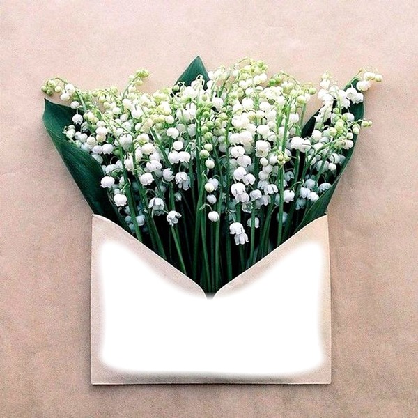 meiklokjes Montaje Fotografico | Pixiz