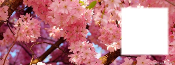 Fotomontagem gfds - Pixiz