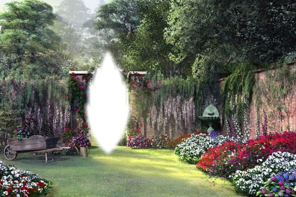 Jeemi Photo Frame Effect | Pixiz