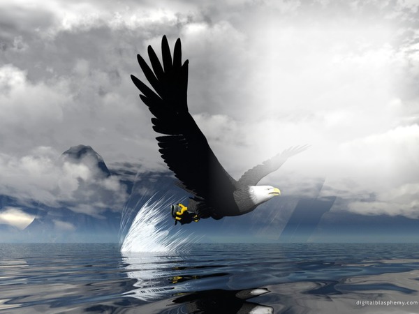 condor Design Template | Pixiz