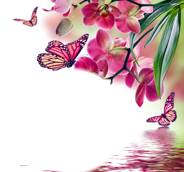 colaje Montaje Fotografico | Pixiz