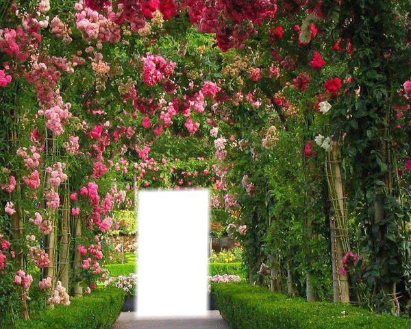 jeemi Montage photo | Pixiz