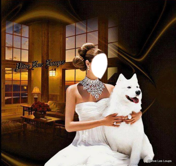 amie Design Template | Pixiz