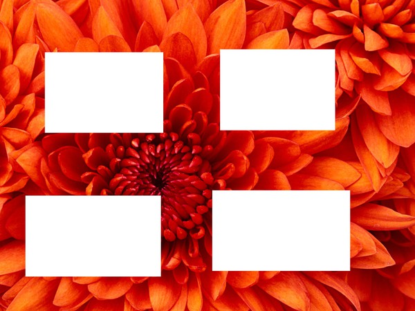 bghgf Montaje fotografico | Pixiz