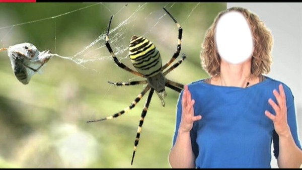 C' EST HORRIBLE Montage photo | Pixiz