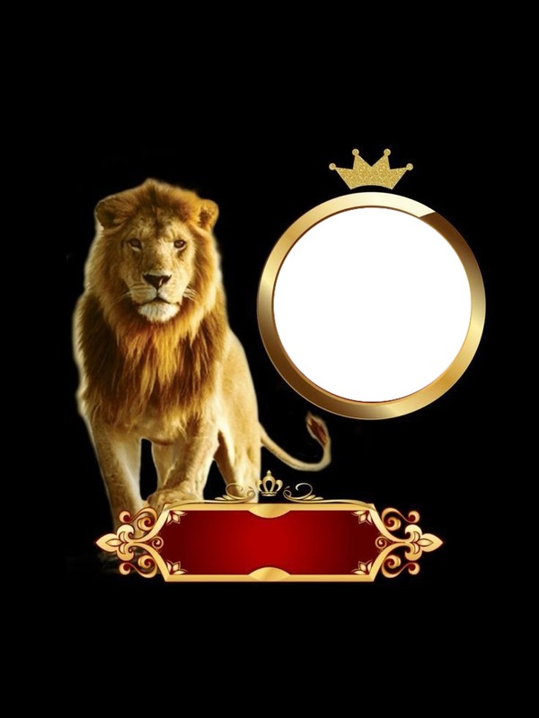 Cadre Photo Frame Effect | Pixiz