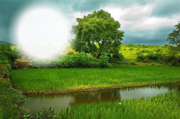 paront Montage photo | Pixiz