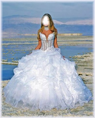 lulja e bukur budallic Design Template | Pixiz