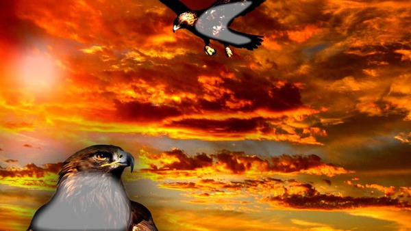 Aguila Real Photo Frame Effect | Pixiz