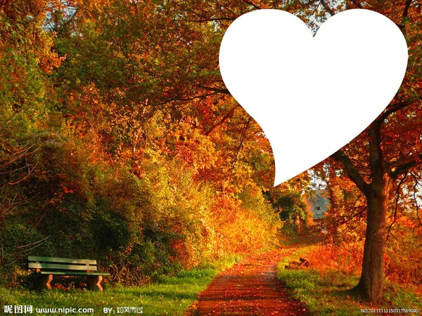 colaje Montage photo | Pixiz