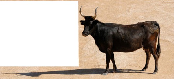 HELIO QUINTERO Design Template | Pixiz